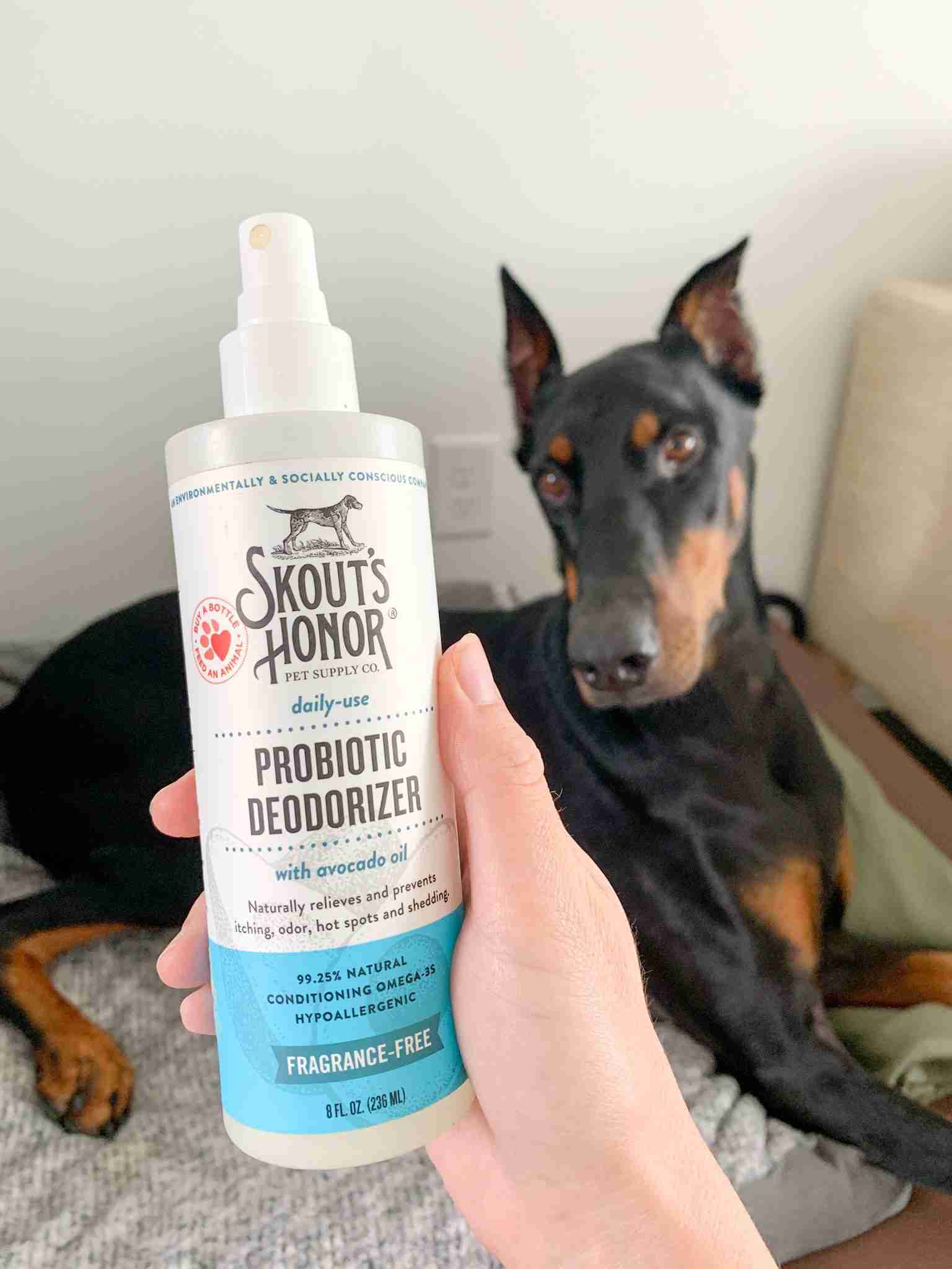 How To Manage Dog Fur for a Clean Home