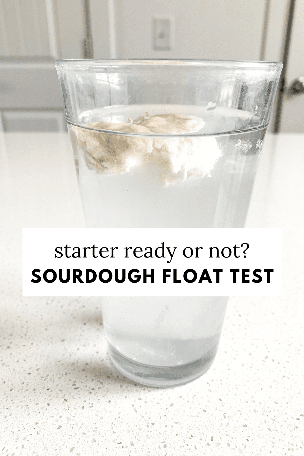 Sourdough Float Test (knowing when starter is ready to use)