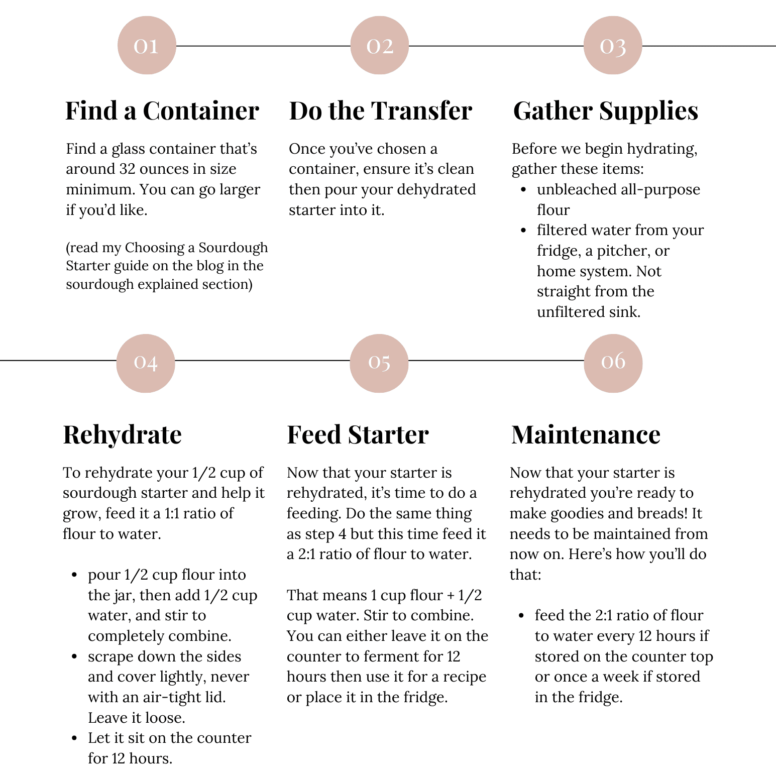 Rehydrating Dried Sourdough Starter (easy 24-hour guide)