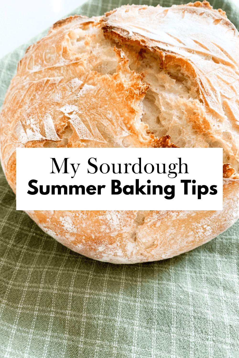 My Sourdough Summer Baking Tips (for hot + humid weather)
