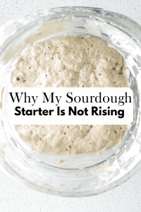 Why My Sourdough Starter Is Not Rising (helpful tips)