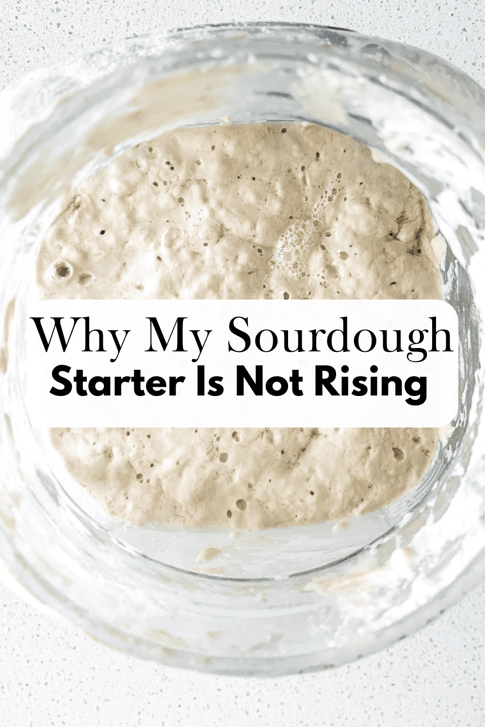 Why My Sourdough Starter Is Not Rising (helpful tips)