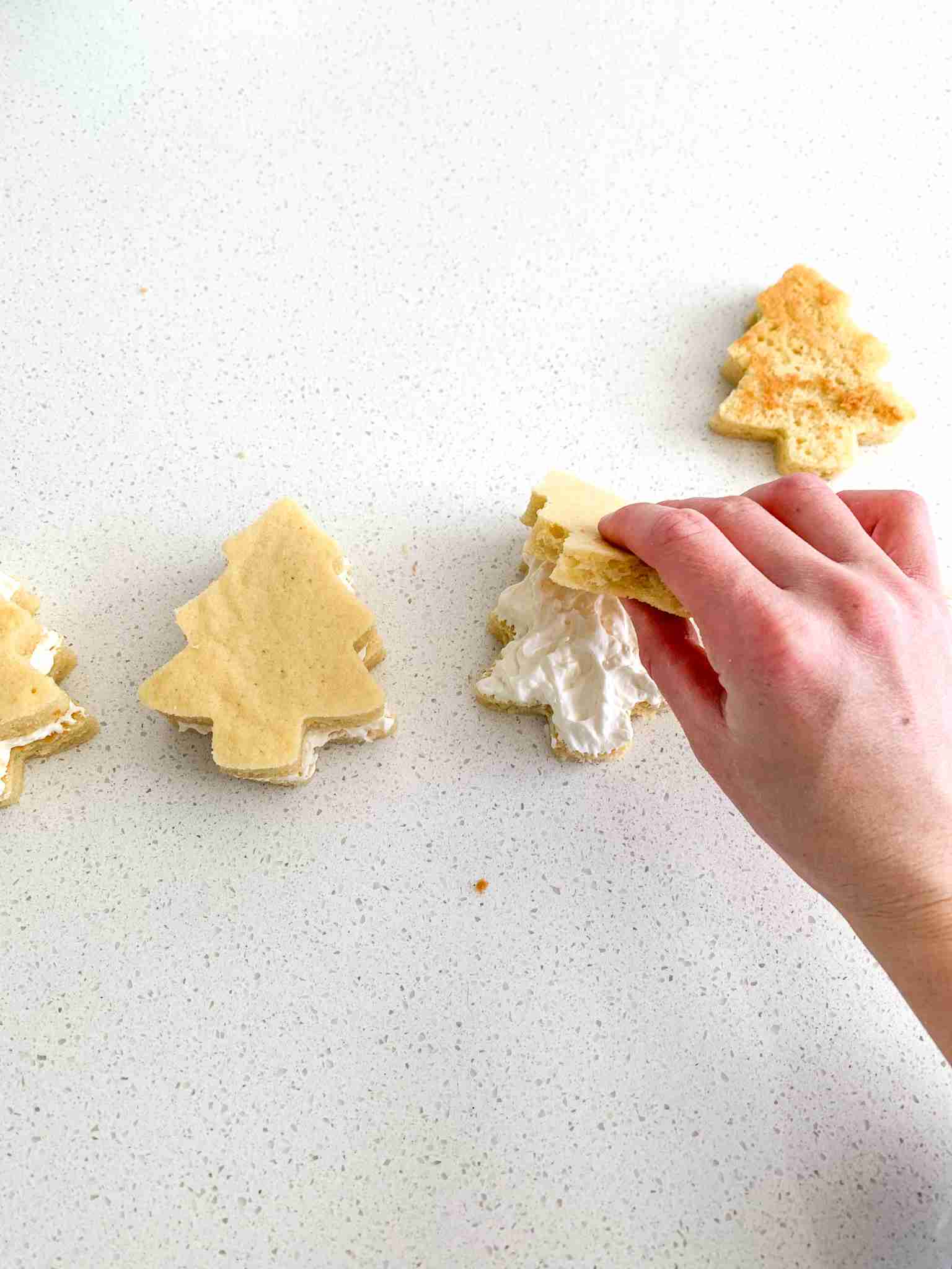 Sourdough Christmas Tree Cakes (Inspired by Little Debbie)