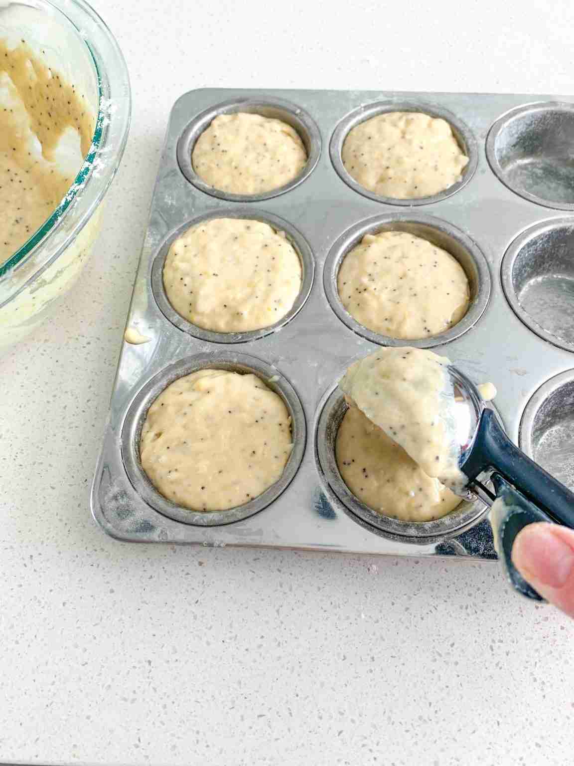 Sourdough Lemon Poppyseed Muffins